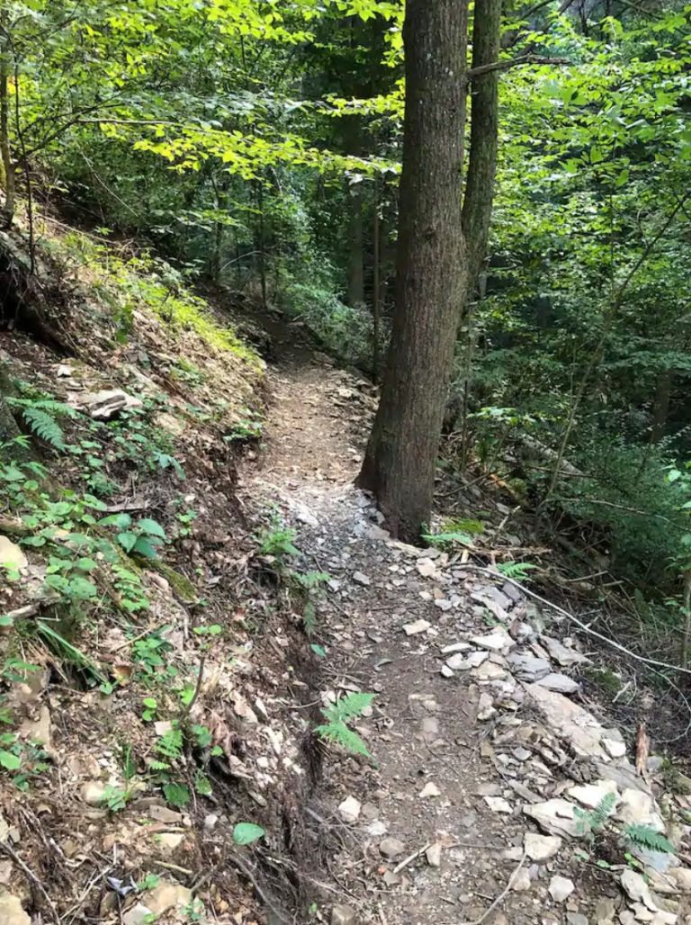 Luxury tiny home minutes from an 85 ft waterfall | Monteagle, TN - The ...